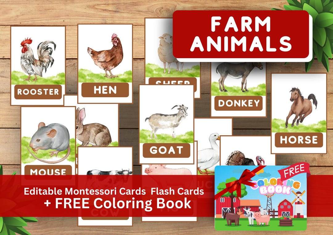 FARM ANIMALS Editable Montessori Cards Flash Cards Nomenclature ...