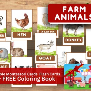 FARM ANIMALS Editable Montessori Cards Flash Cards Nomenclature ...