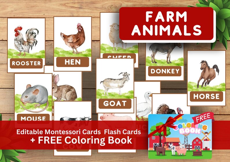 FARM ANIMALS Editable Montessori Cards Flash Cards Nomenclature ...