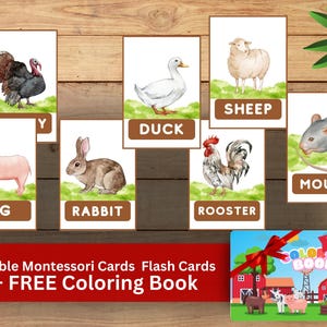 FARM ANIMALS Editable Montessori Cards Flash Cards Nomenclature ...