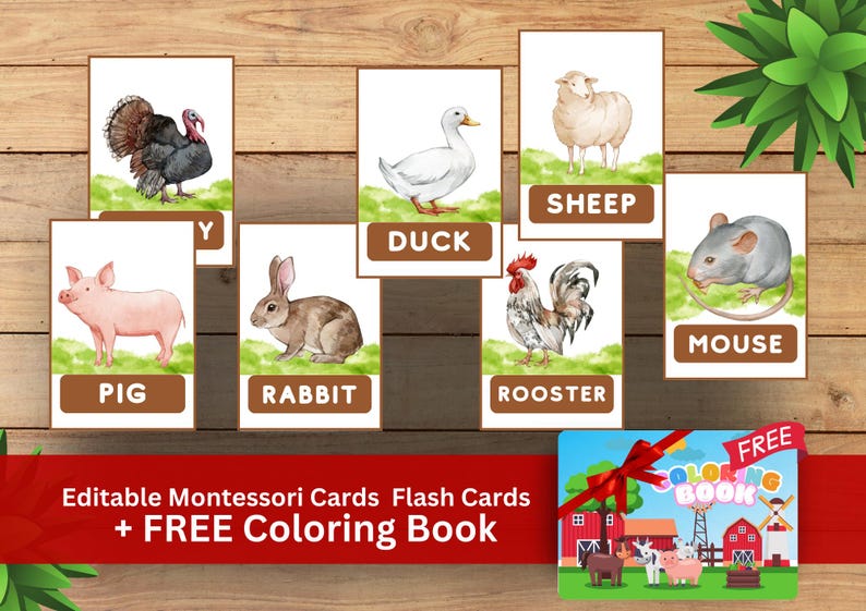 FARM ANIMALS Editable Montessori Cards Flash Cards Nomenclature ...