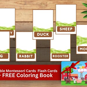 FARM ANIMALS Editable Montessori Cards Flash Cards Nomenclature ...