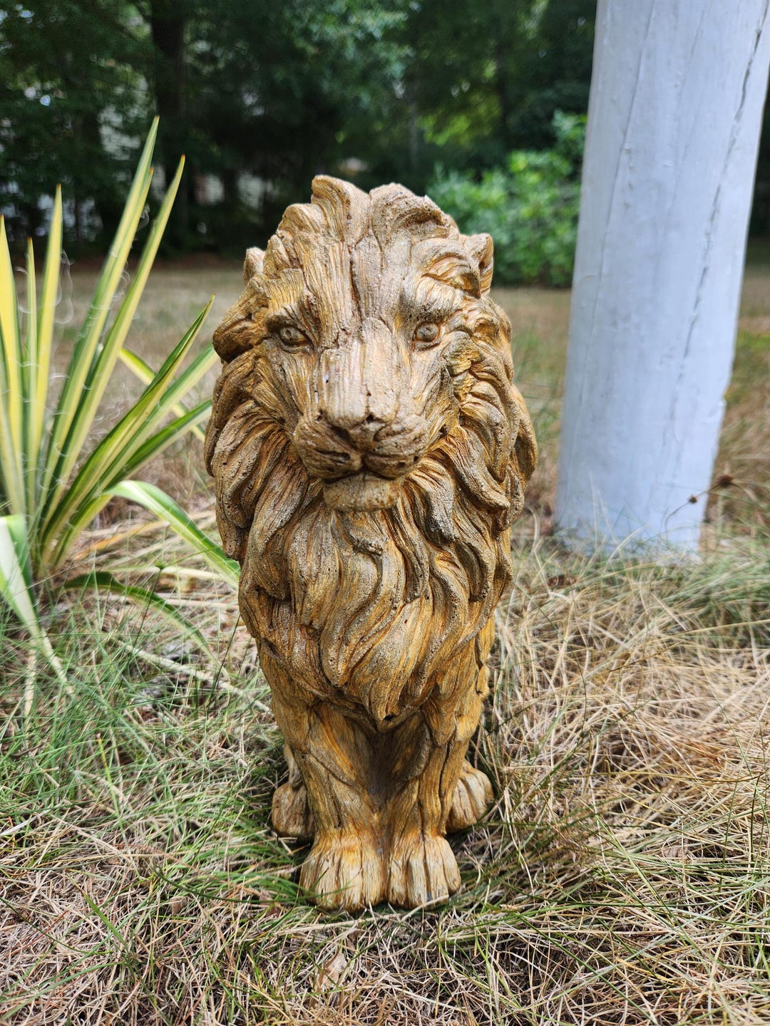 Rustic Handcast Cement Lion Statue in Color "caramel" - Etsy