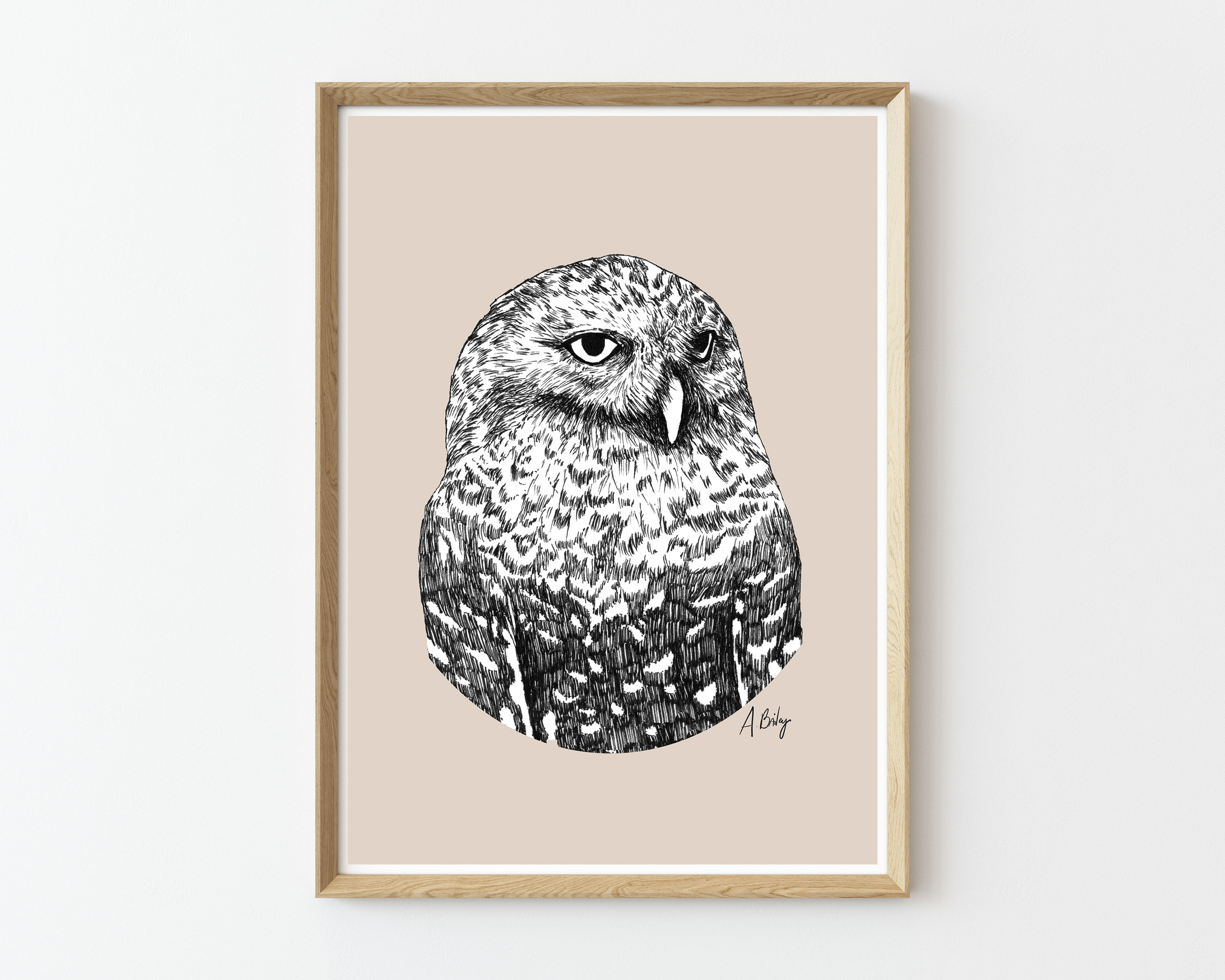 Snowy Owl Line Drawing