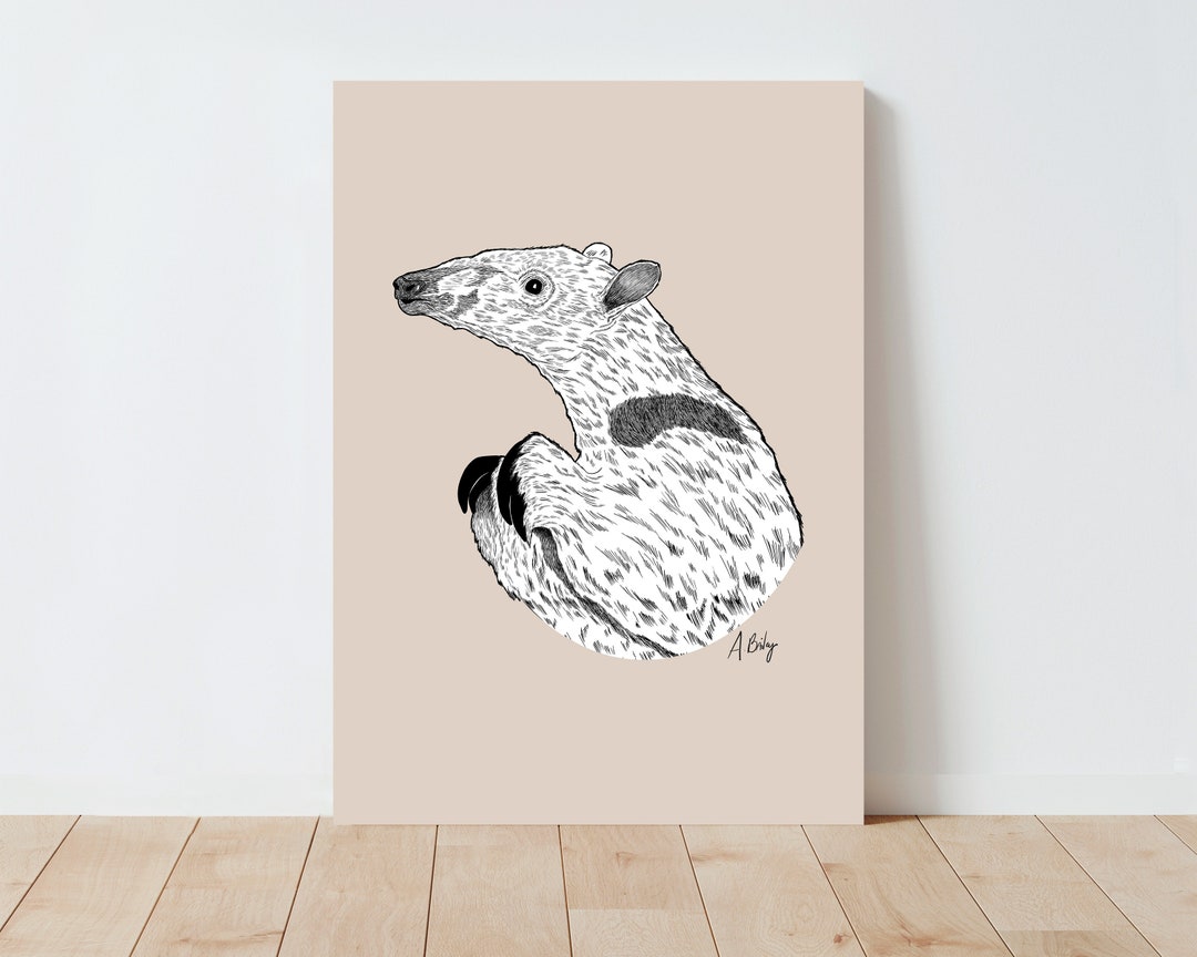 Modern Anteater Wall Art | Illustration Print | Animal Art | Black and ...