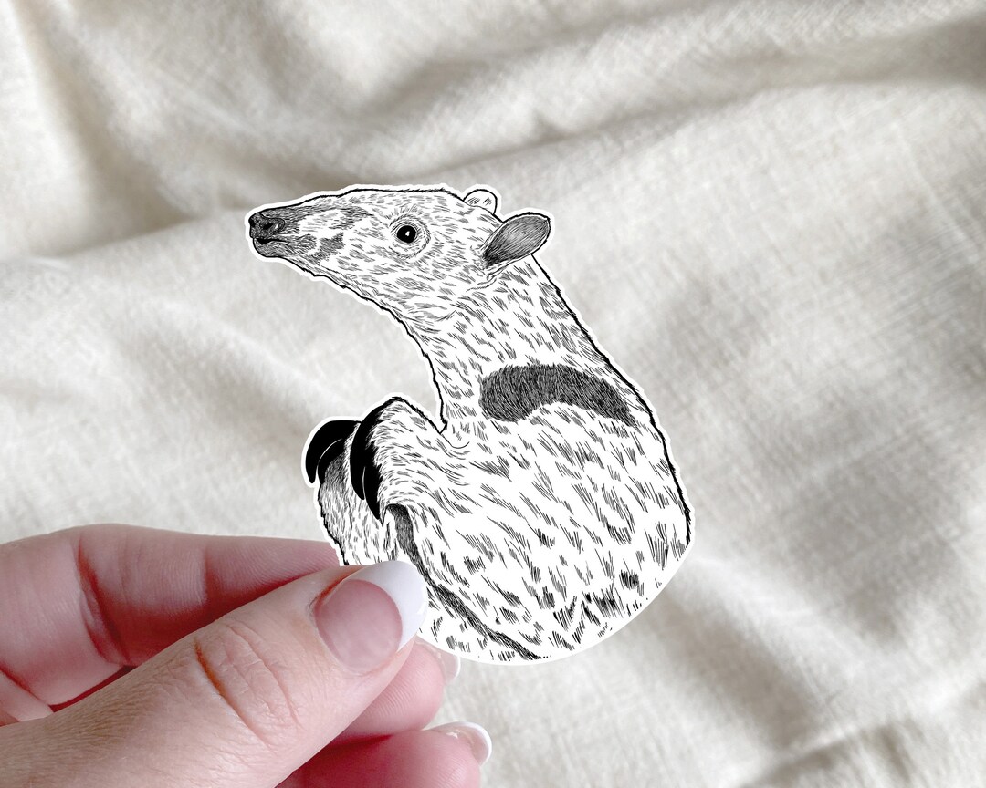 Cute Anteater Sticker Vinyl Sticker Animal Stickers Scrapbooking ...