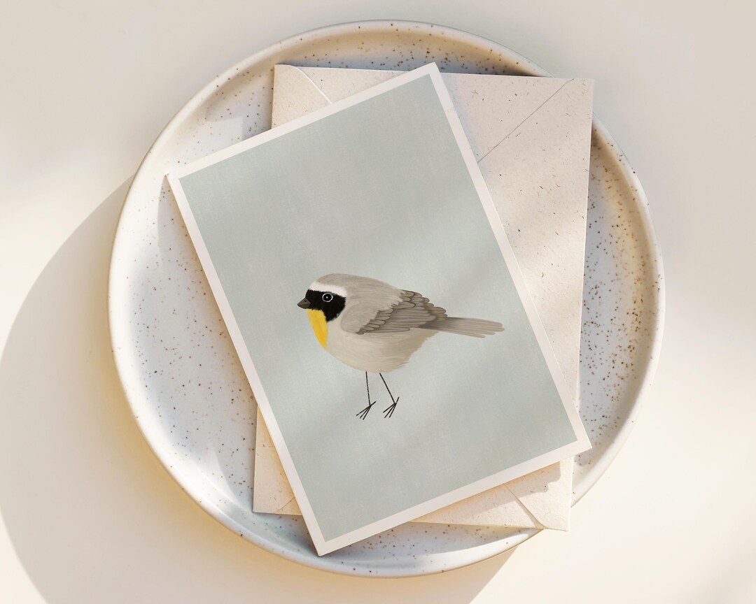 Cute Bird Greeting Cards With Envelopes - Bird Note Cards - Whimsical ...
