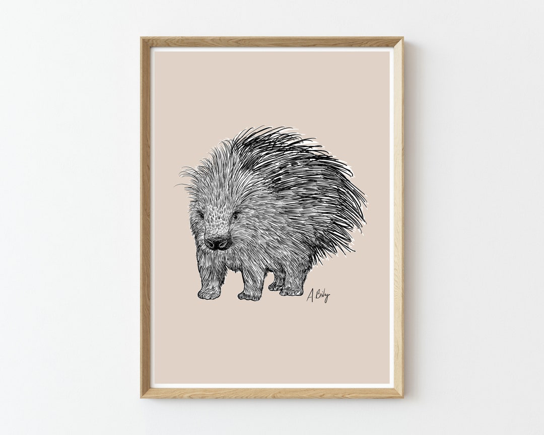 Porcupine Art Print | Porcupine Wall Art | Customizable Prints ...