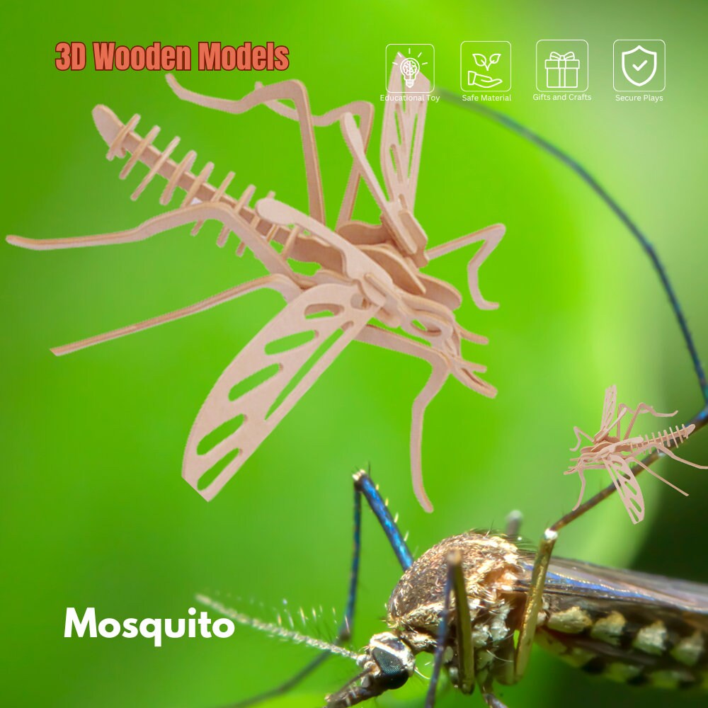 3D Wooden Insect Puzzle - Educational DIY Kit. Perfect for Summer Camp ...