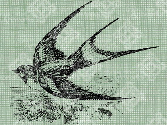 Digital Download Vintage Bird Illustration Flying Barn | Etsy