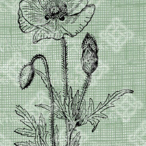 Digital Download Gaelic Greeting of Welcome, Celtic Knot Digi Stamp ...