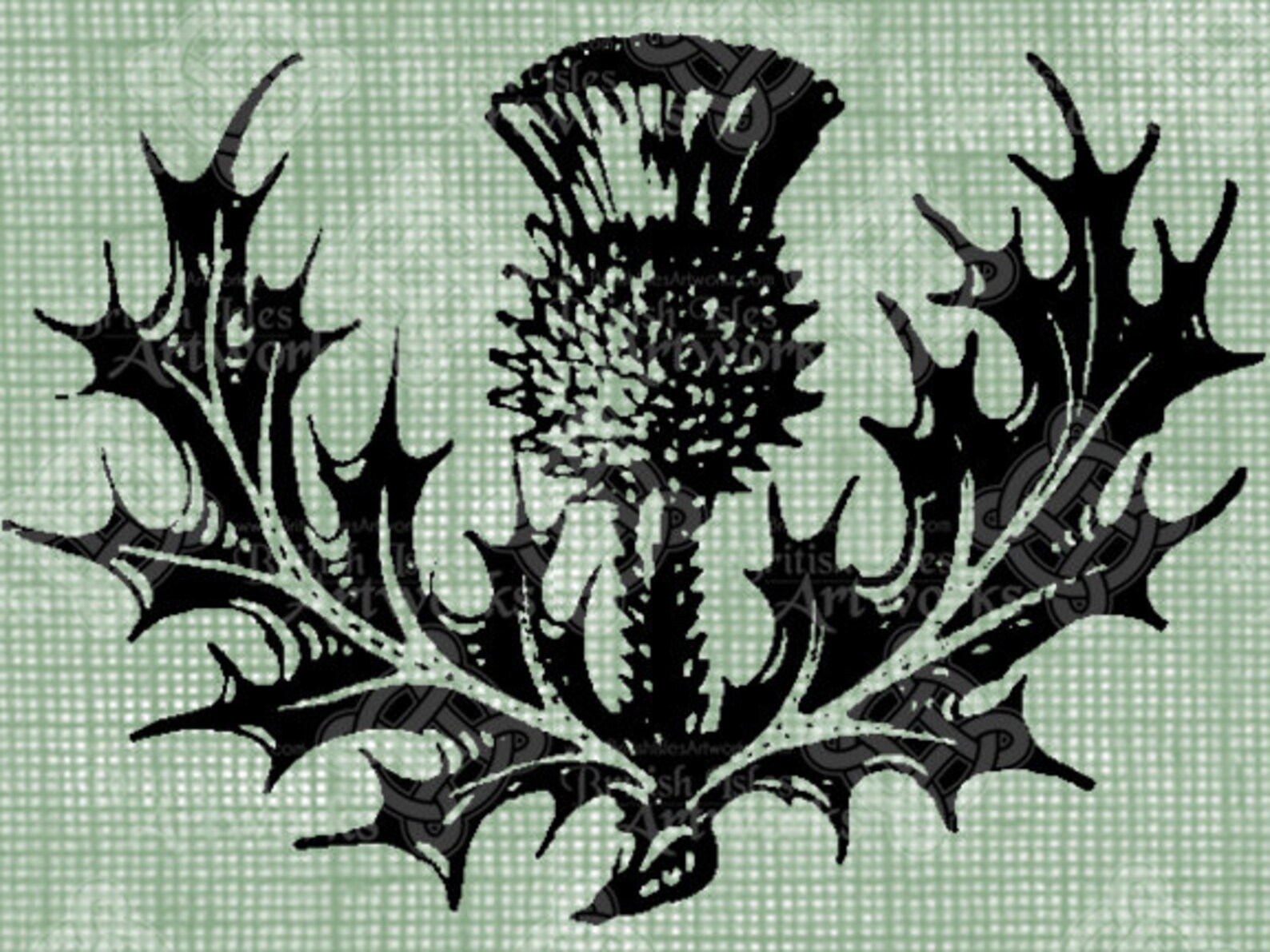 Digital Download Scotland Thistle, Digi Stamp, Digital Stamp, Antique ...