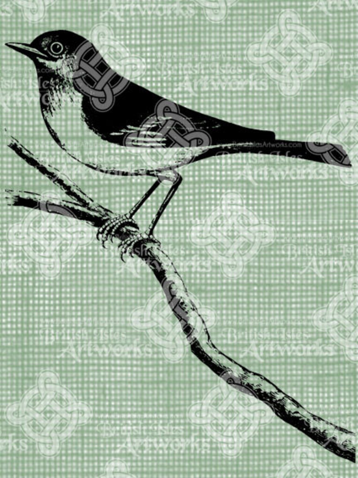 Digital Download English Robin, Vintage Bird Illustration, Digi Stamp ...