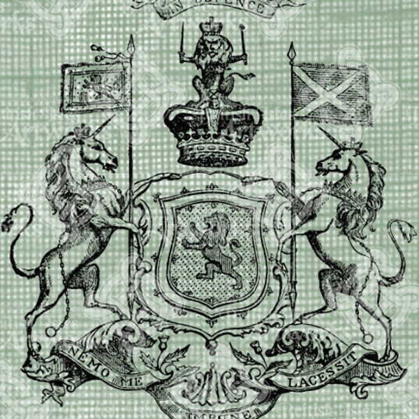 Coat of Arms Heraldry Antique - Etsy