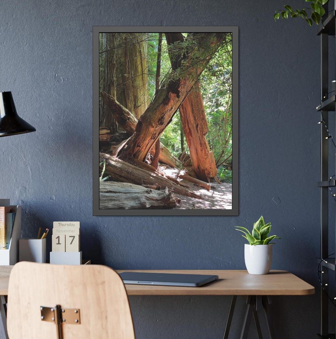 Redwoods Forest Print, Rustic Framed Forest Print Beautiful Northern ...