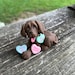 Valentines Chocolate Labrador Conversation Hearts Polymer Clay Hand ...