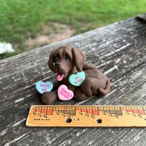 Valentines Chocolate Labrador Conversation Hearts Polymer Clay Hand ...