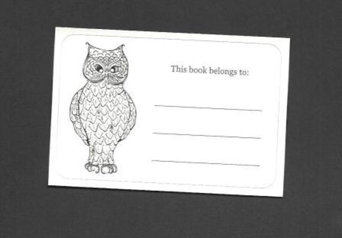 Owl Bookplates, Set of Ten - Etsy