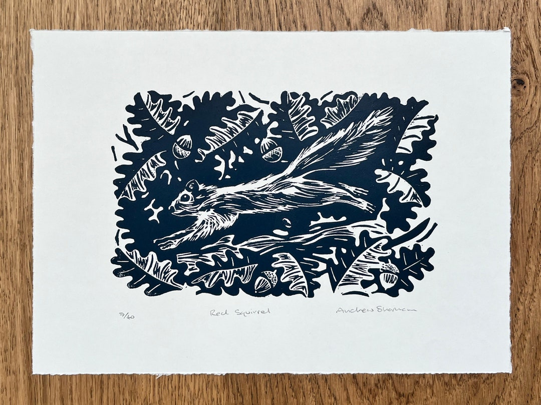 Red Squirrel, Original Limited Edition, Handmade Linocut Print in Dark ...