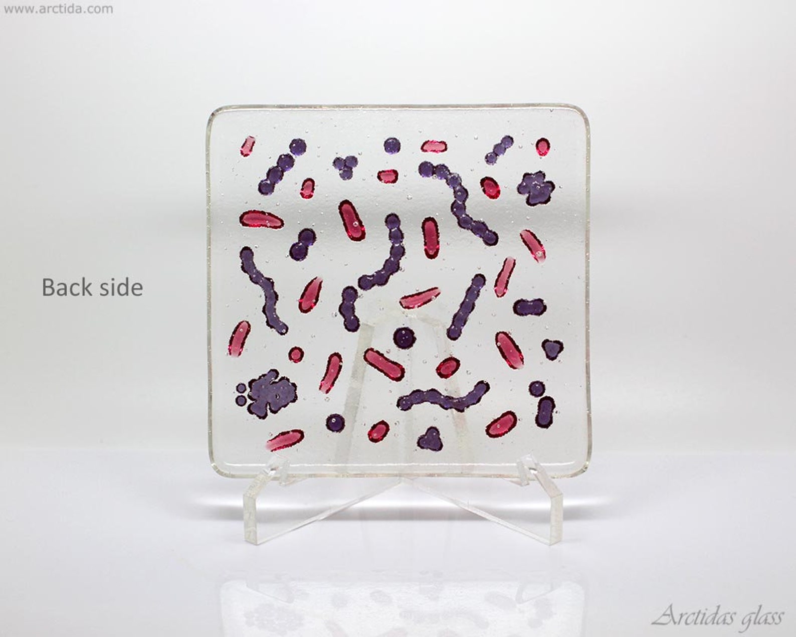 Gram Stained Bacteria Glass Art Panel Microbiology Desk Decor Medical ...