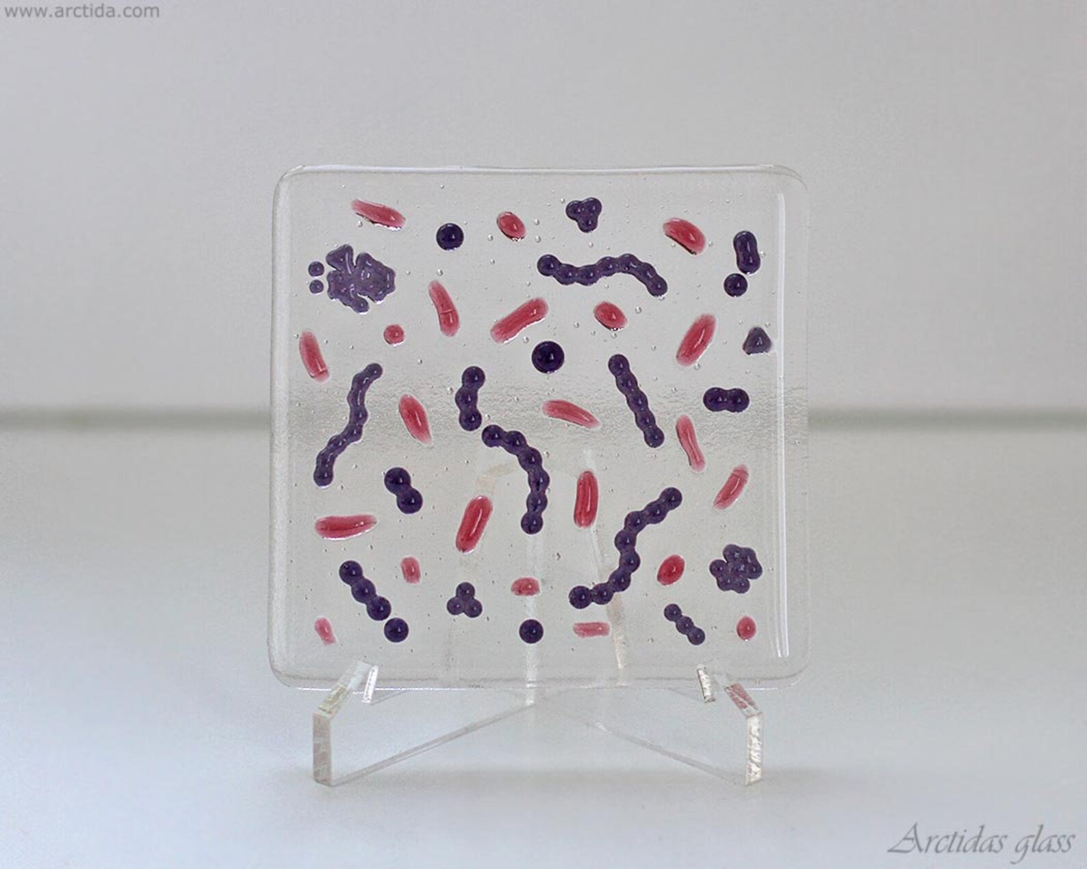 Gram Stained Bacteria Glass Art Panel Microbiology Desk Decor Medical ...