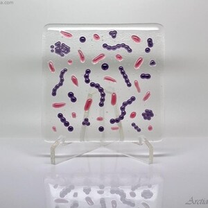 Gram Stained Bacteria Glass Art Panel Microbiology Desk Decor Medical ...