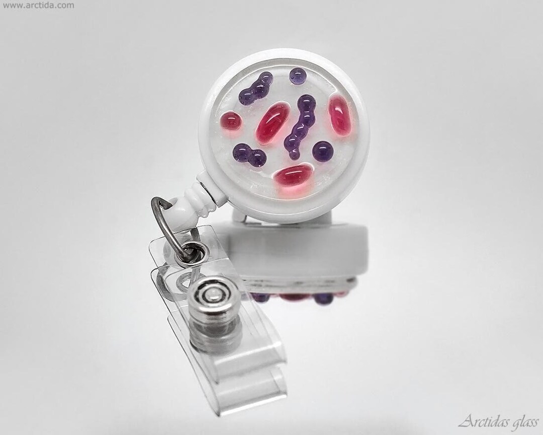 Gram Stain Badge Reel Microbiology Retractable ID Biology Medical ...