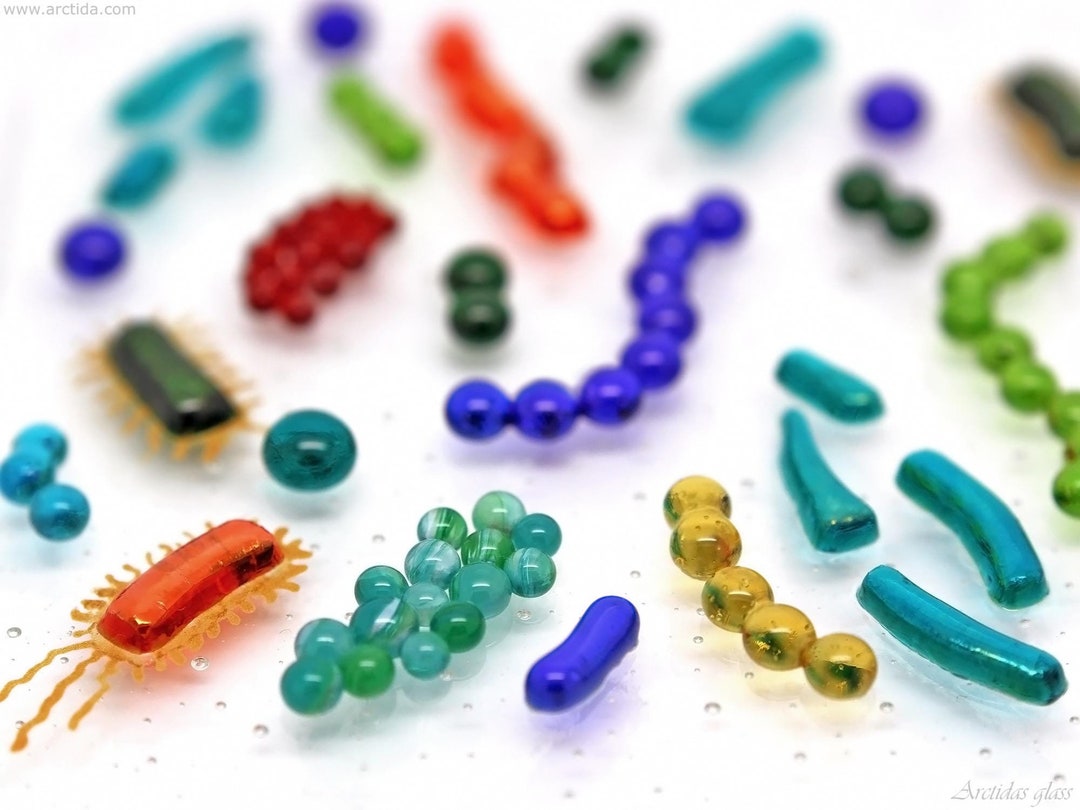 Bacteria Glass Art Panel Microbiology Gifts Science Desk Decor Medical ...