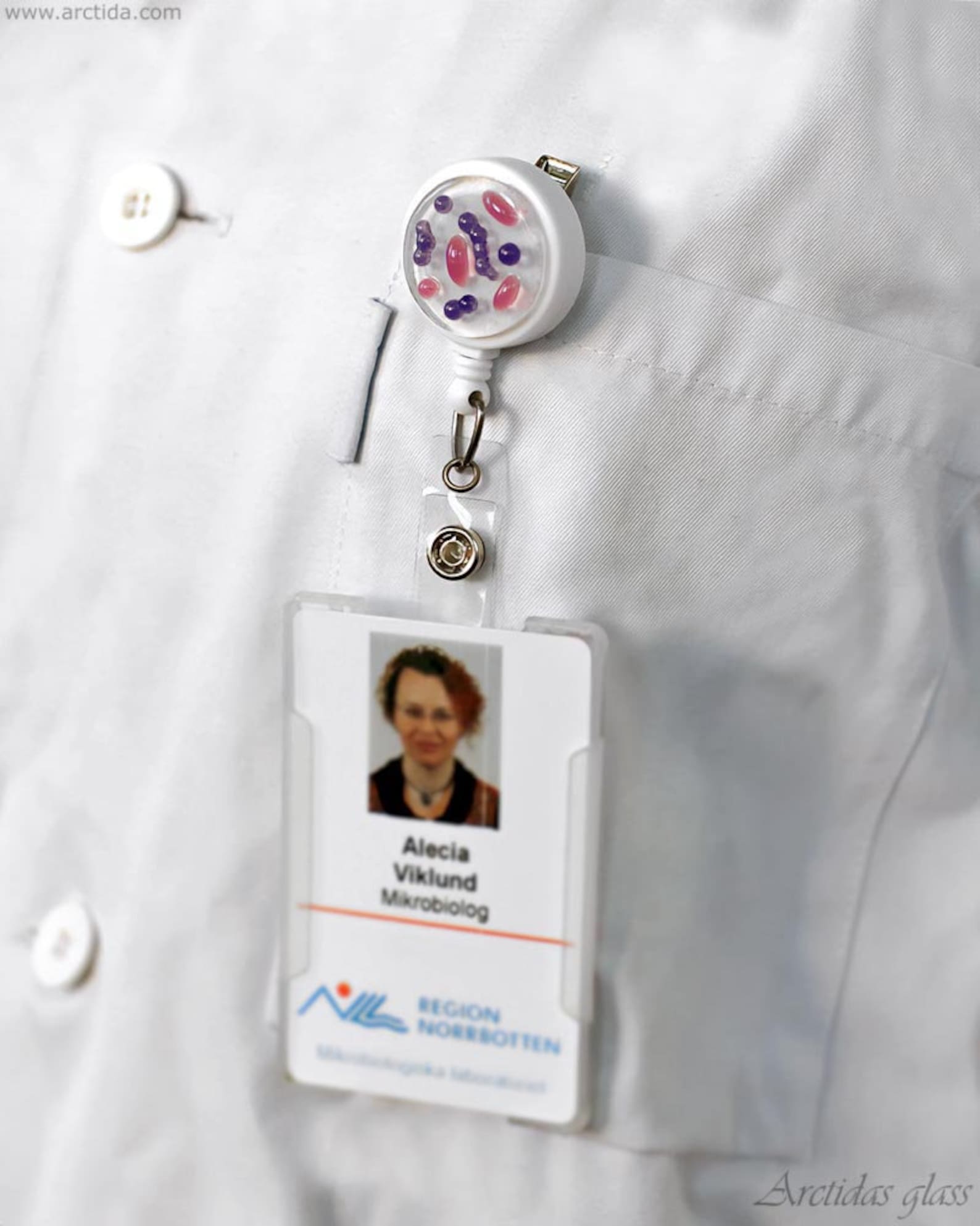 Gram Stain Badge Reel Microbiology Retractable ID Biology Medical ...