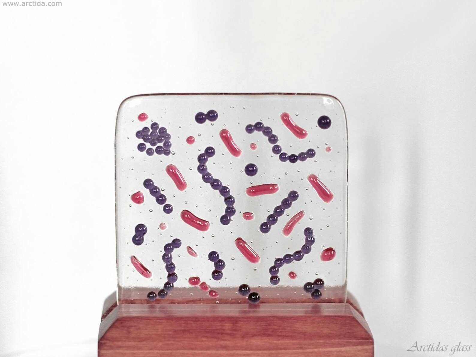 Gram Stained Bacteria Glass Art Panel Microbiology Desk Decor Medical ...
