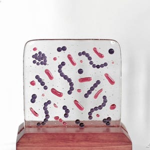 Gram Stained Bacteria Glass Art Panel Microbiology Desk Decor Medical ...