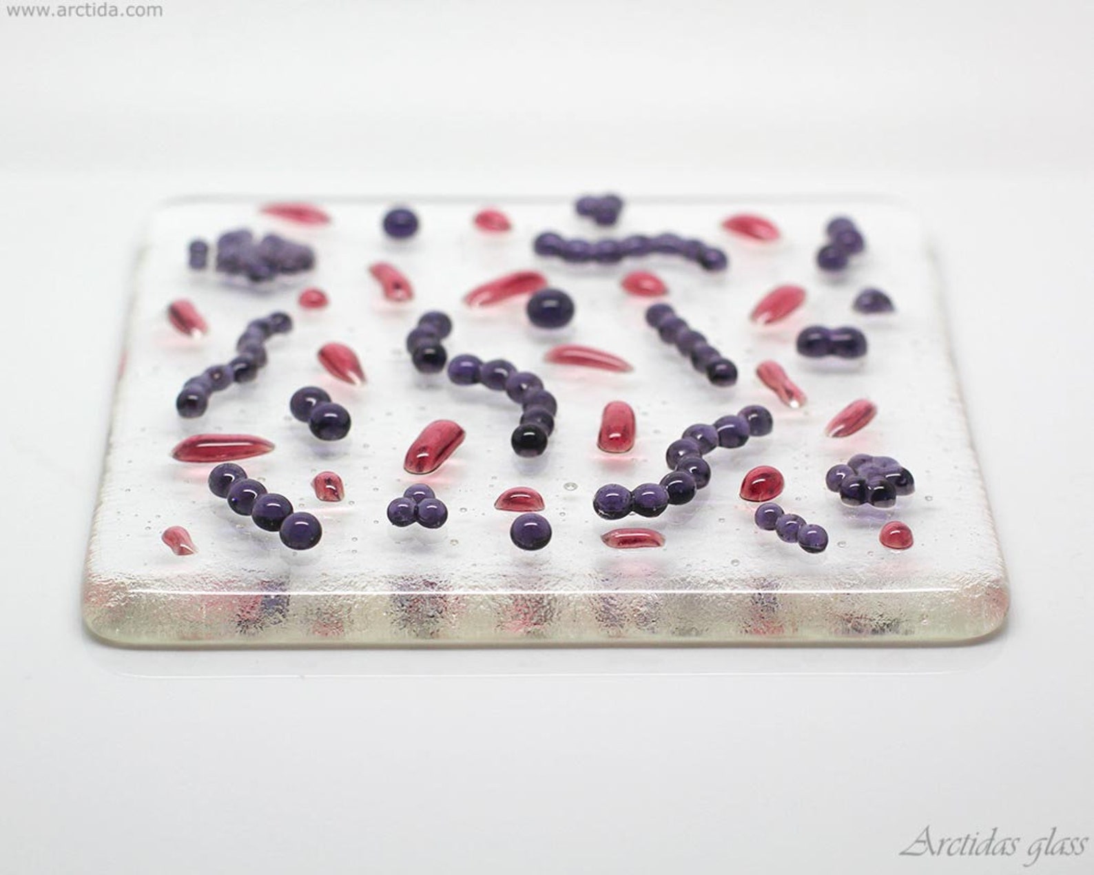 Gram Stained Bacteria Glass Art Panel Microbiology Desk Decor Medical ...