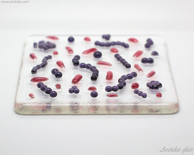 Gram Stained Bacteria Glass Art Panel Microbiology Desk Decor Medical ...