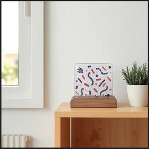 Gram Stained Bacteria Glass Art Panel Microbiology Desk Decor Medical ...