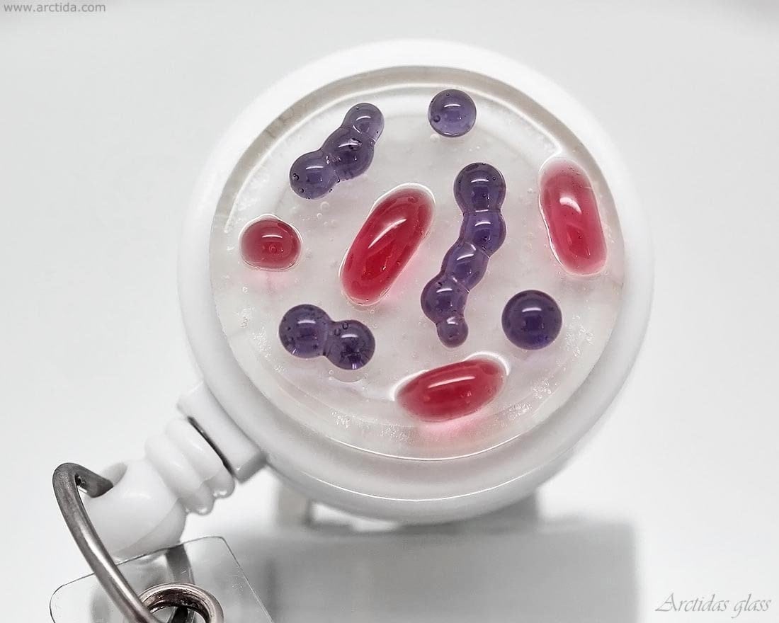 Gram Stain Badge Reel Microbiology Retractable ID Biology Medical ...