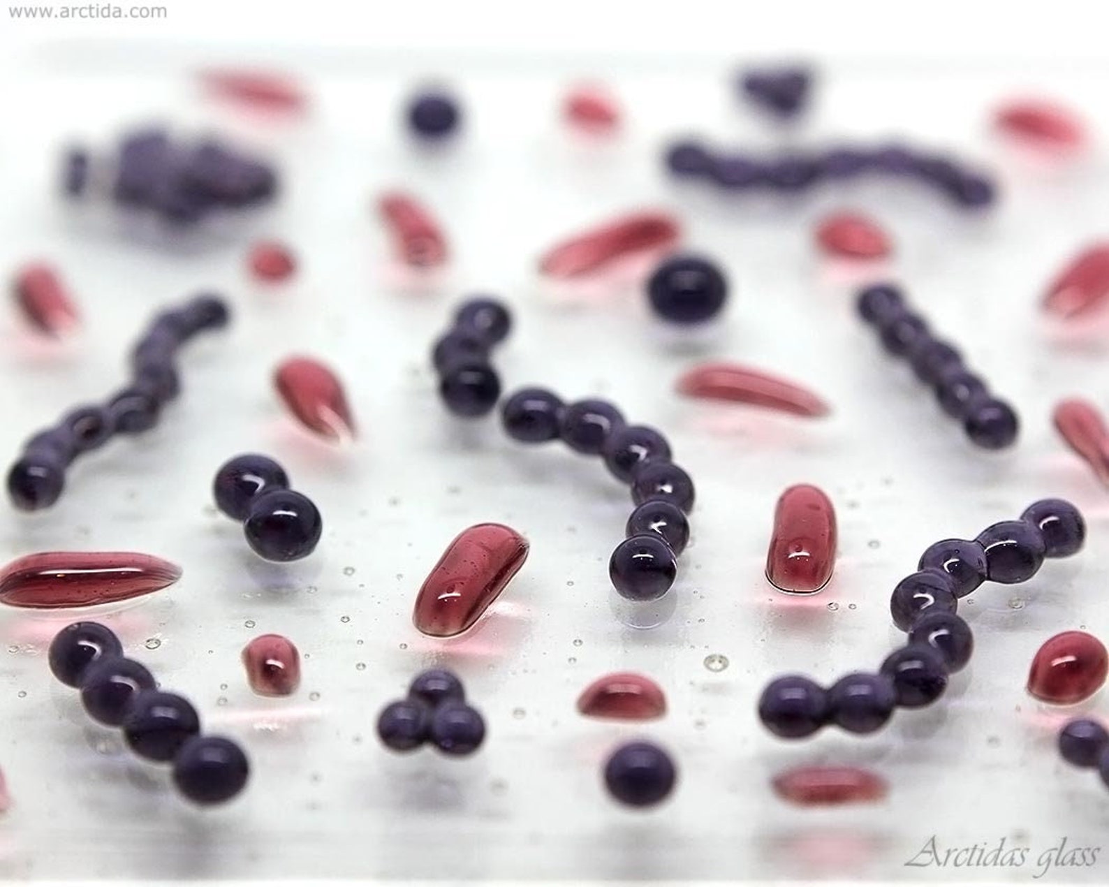 Gram Stained Bacteria Glass Art Panel Microbiology Desk Decor Medical ...