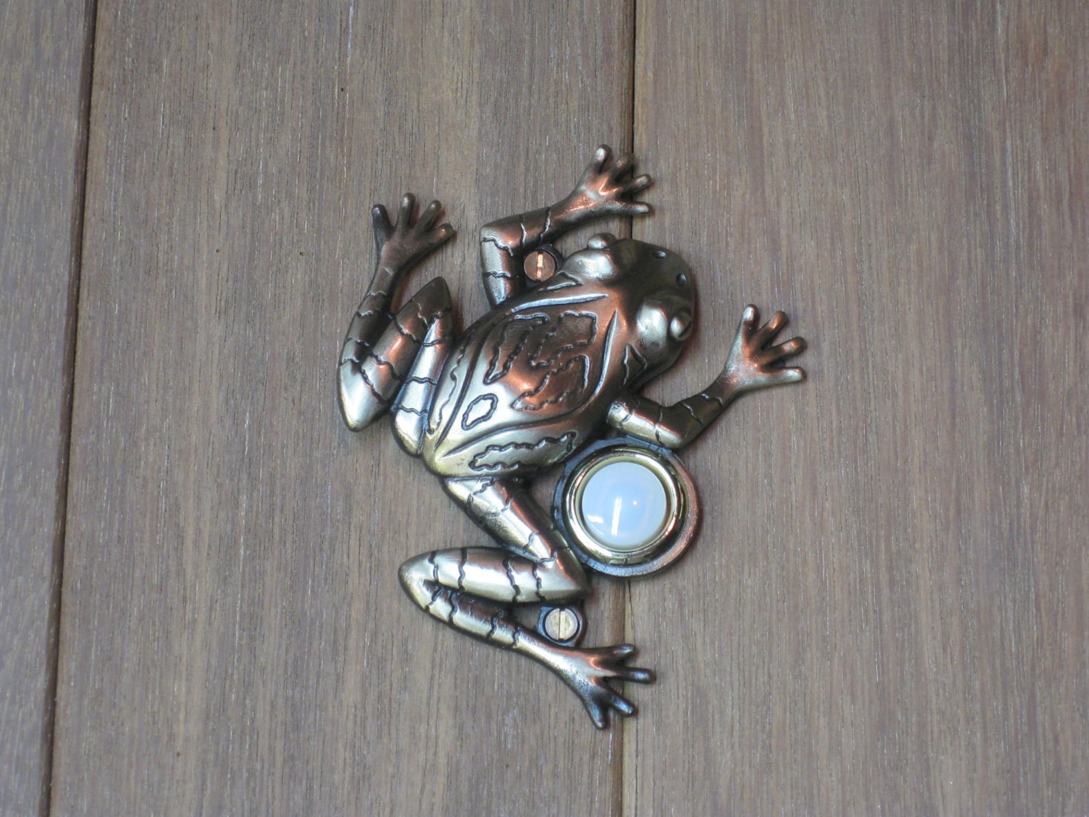 Frog Doorbell in Bronze - Etsy