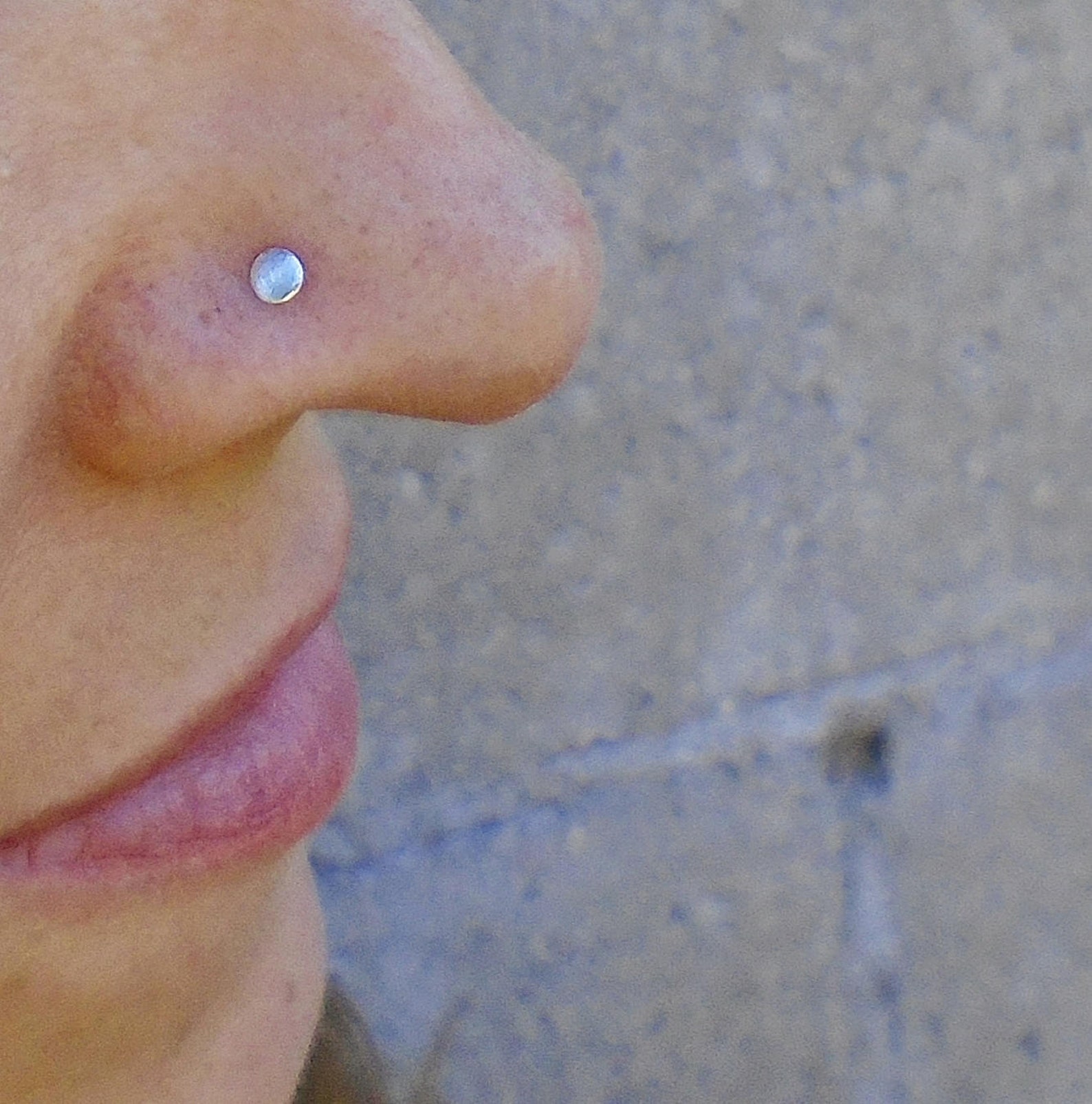 Sterling Silver Disc Nose Stud Tragus Stud Earrings Nose - Etsy