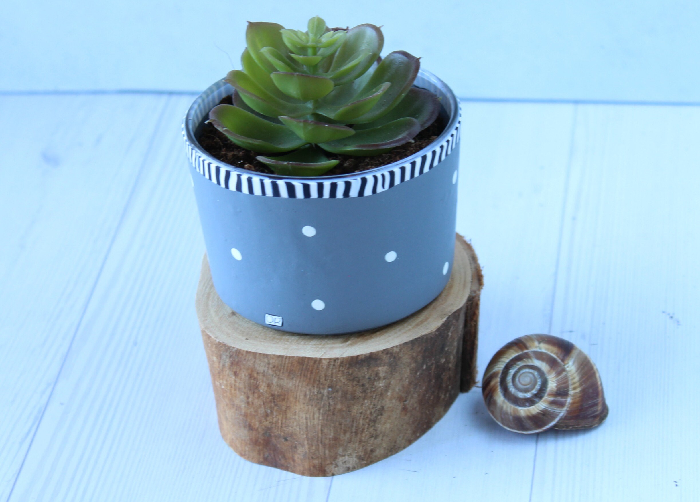 Small Colorful Funny Succulent Plant Pot | Etsy