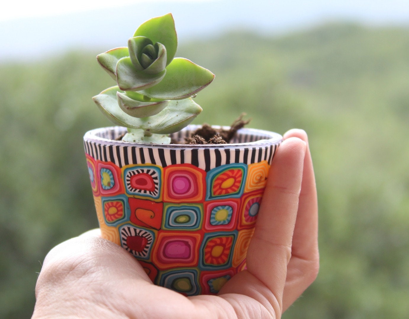 Set of 2 colorful succulent small planters | Etsy