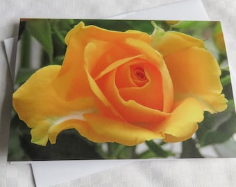 Yellow Rose Card | Etsy