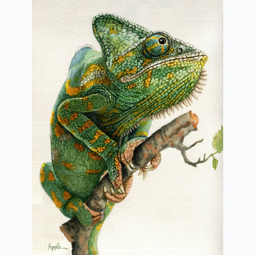 Chameleon Watercolor Painting, Wildlife Art,nature,reptilian,lizard ...