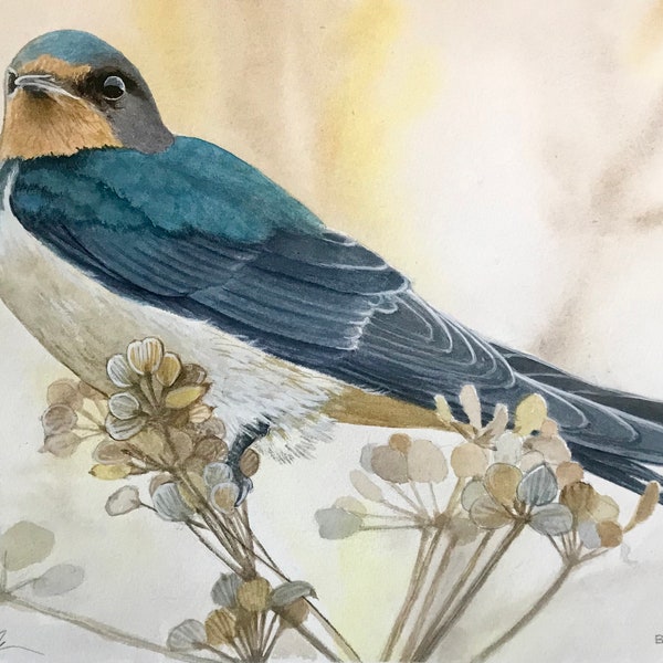 Swallow - Etsy