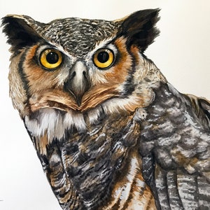Great Horned Owl Bird Watercolor Painting,nature,wildlife,audubon Style ...