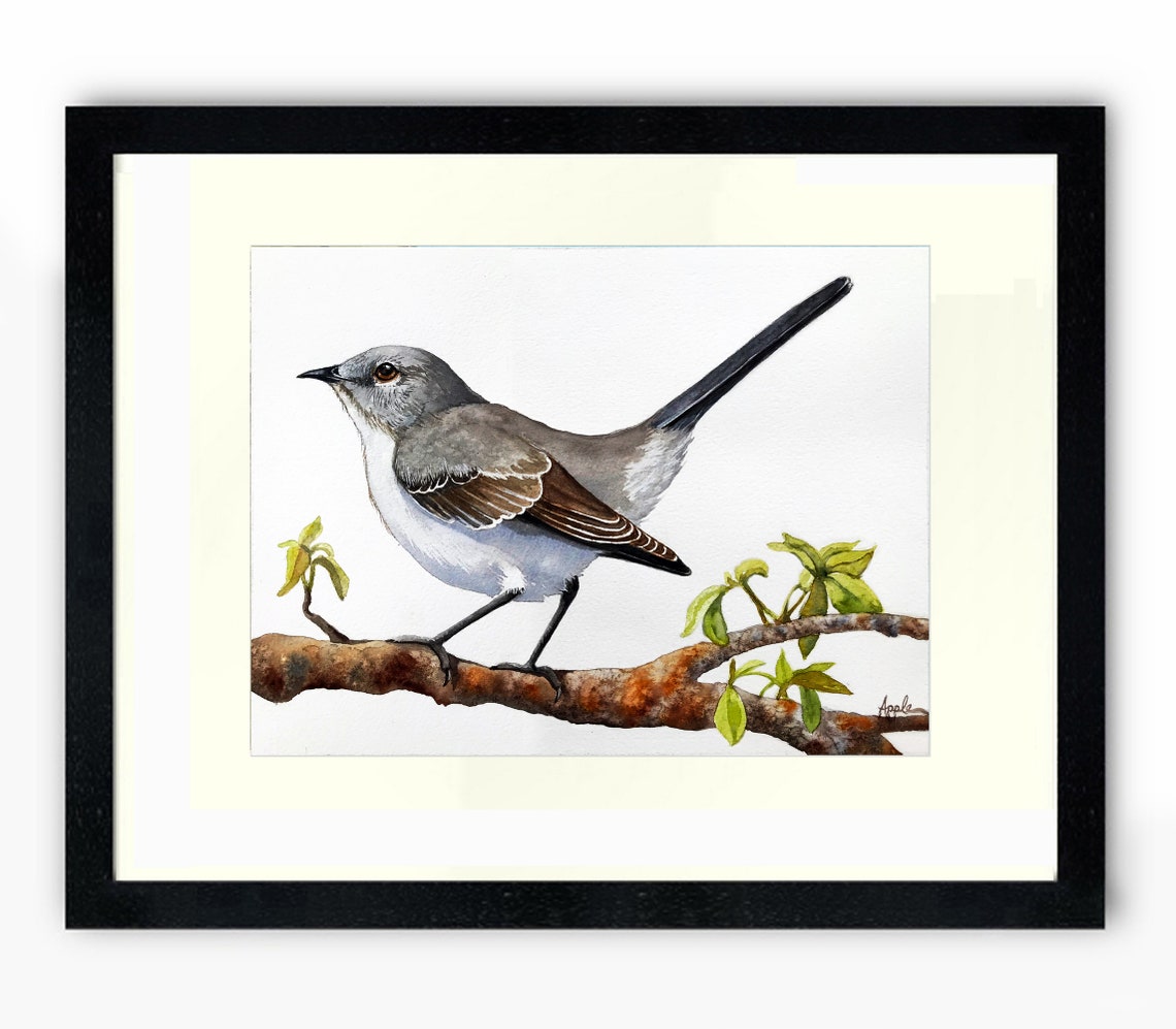 Northern Mockingbird Bird Wildlife Print of Original Watercolor ...