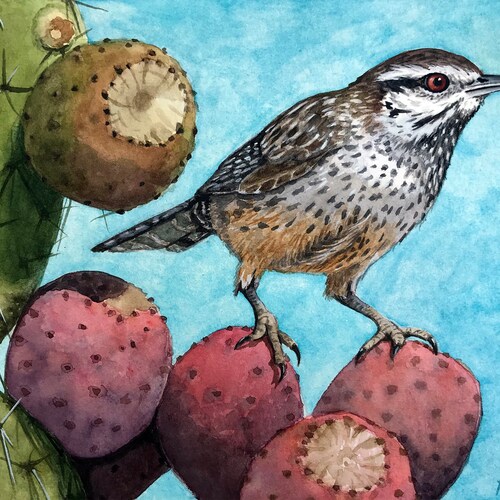 Arizona State Bird Art Print Arizona Cactus Wren and Saguaro - Etsy