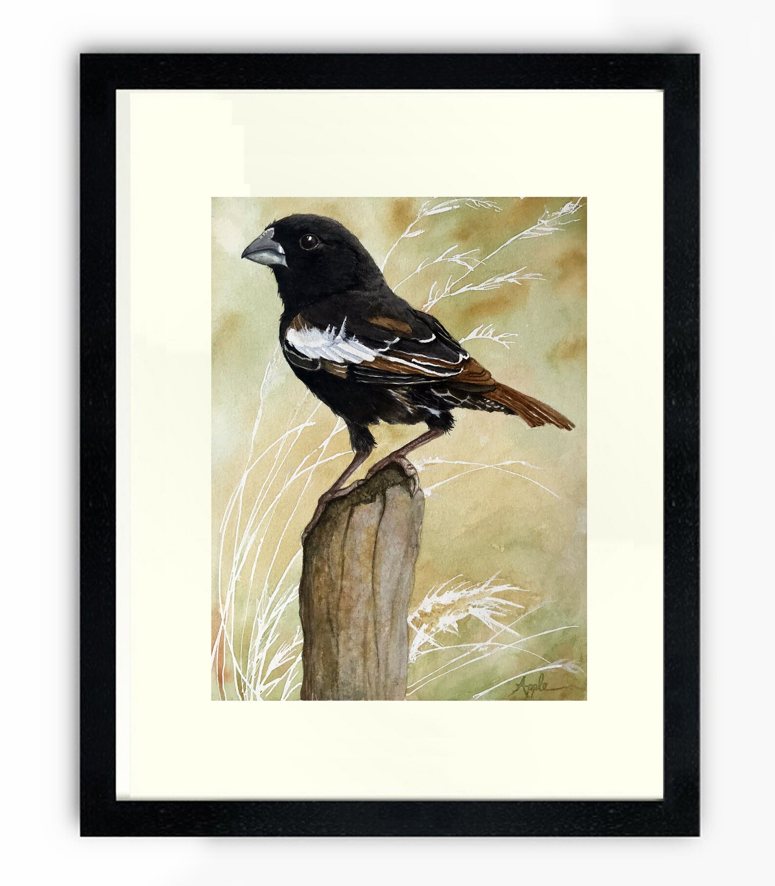 Lark Bunting Colorado State Bird Original Wildlife Watercolor | Etsy
