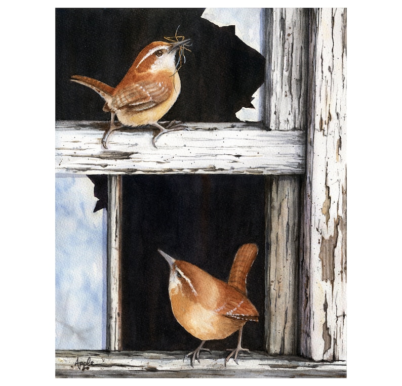 Wrens & Abandoned House Fine Art Print From My Original Wildlife Bird ...