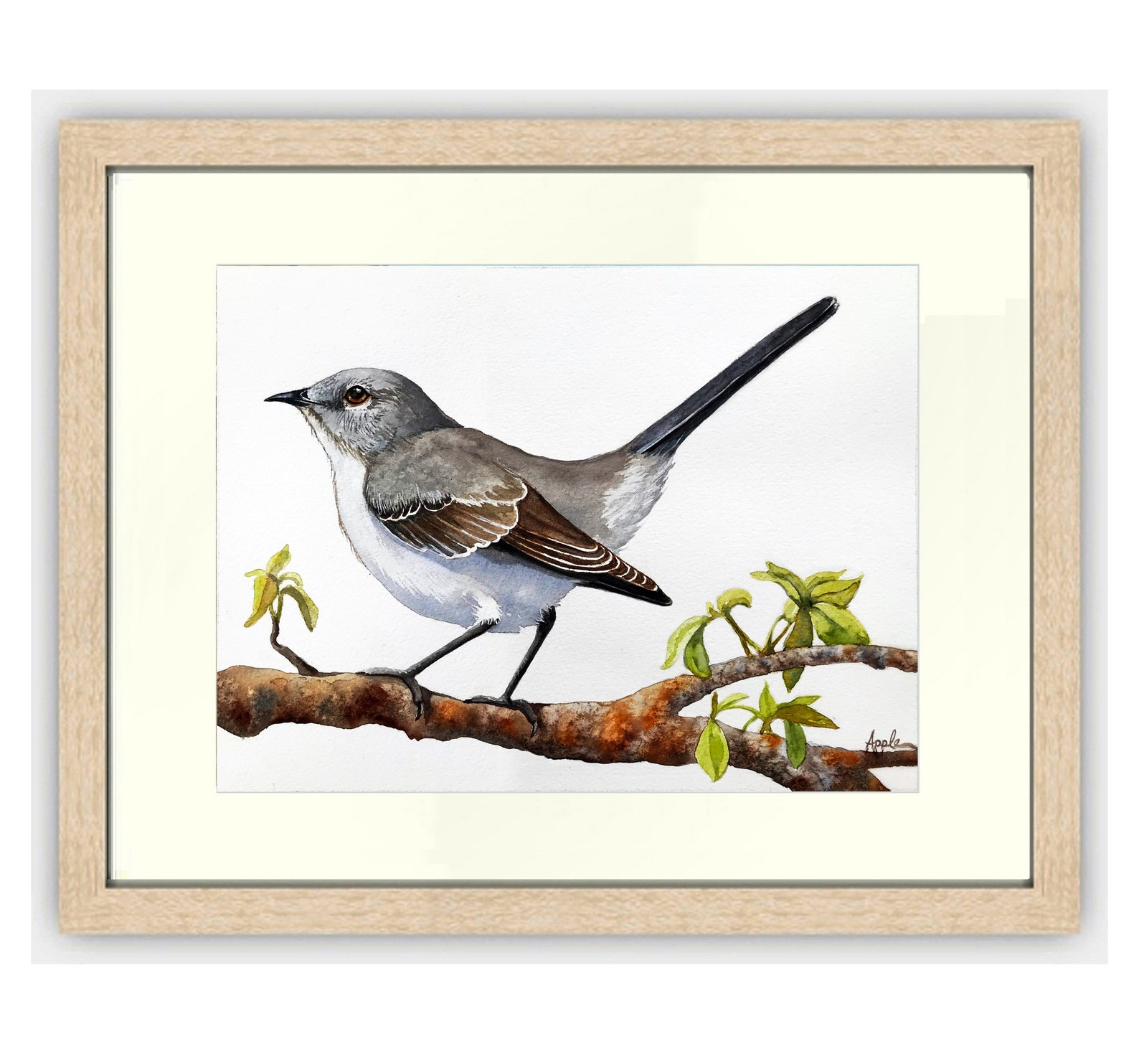 Northern Mockingbird Bird Wildlife print of original | Etsy