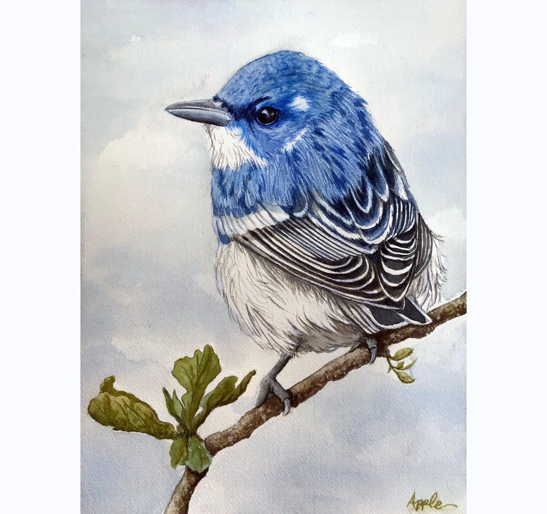 Cerulean Warbler Print of Original Watercolor Painting, Wildlife Bird ...